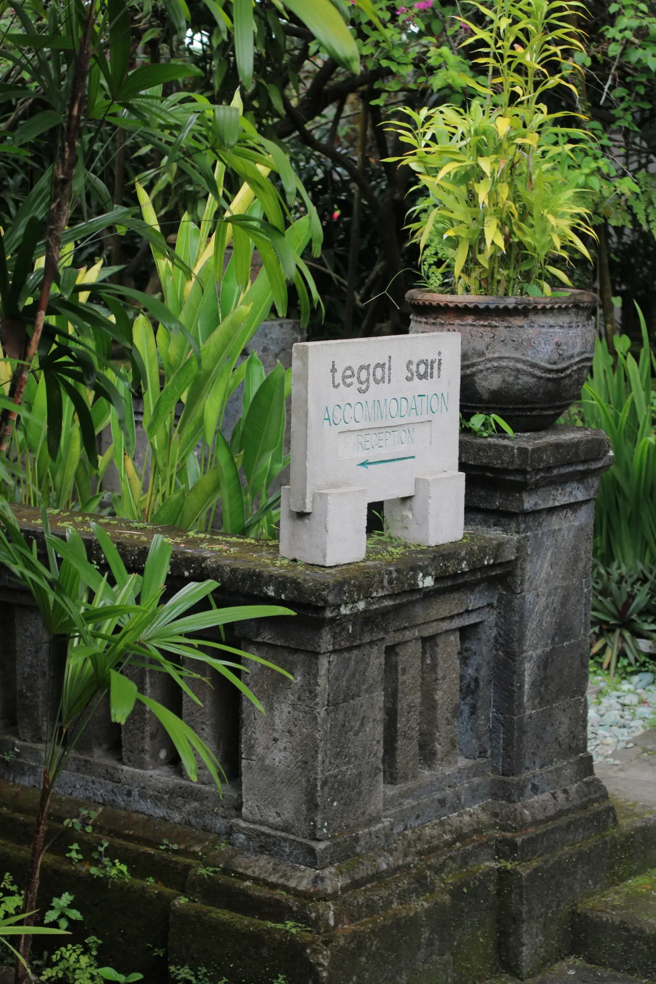 Tegal Sari Accommodation - Hotel in Ubud, Bali